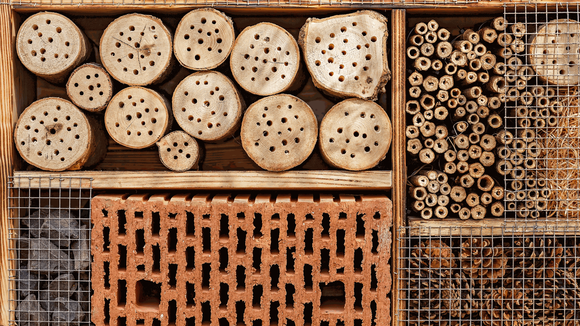 Hoteles de insectos: refugios para la biodiversidad útil